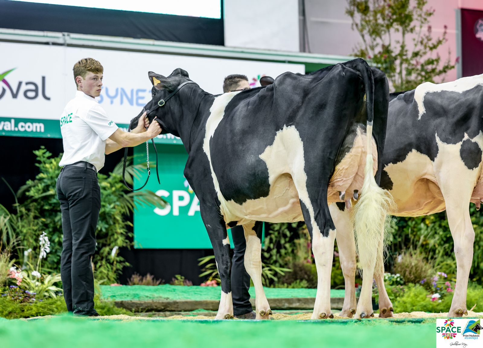 Wilt Yahoo wins Udder Champion @ SPACE